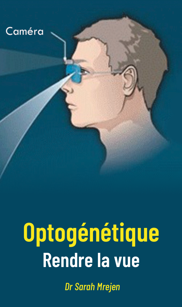 L'optogénétique redonne partiellement la vue à un patient atteint de ...